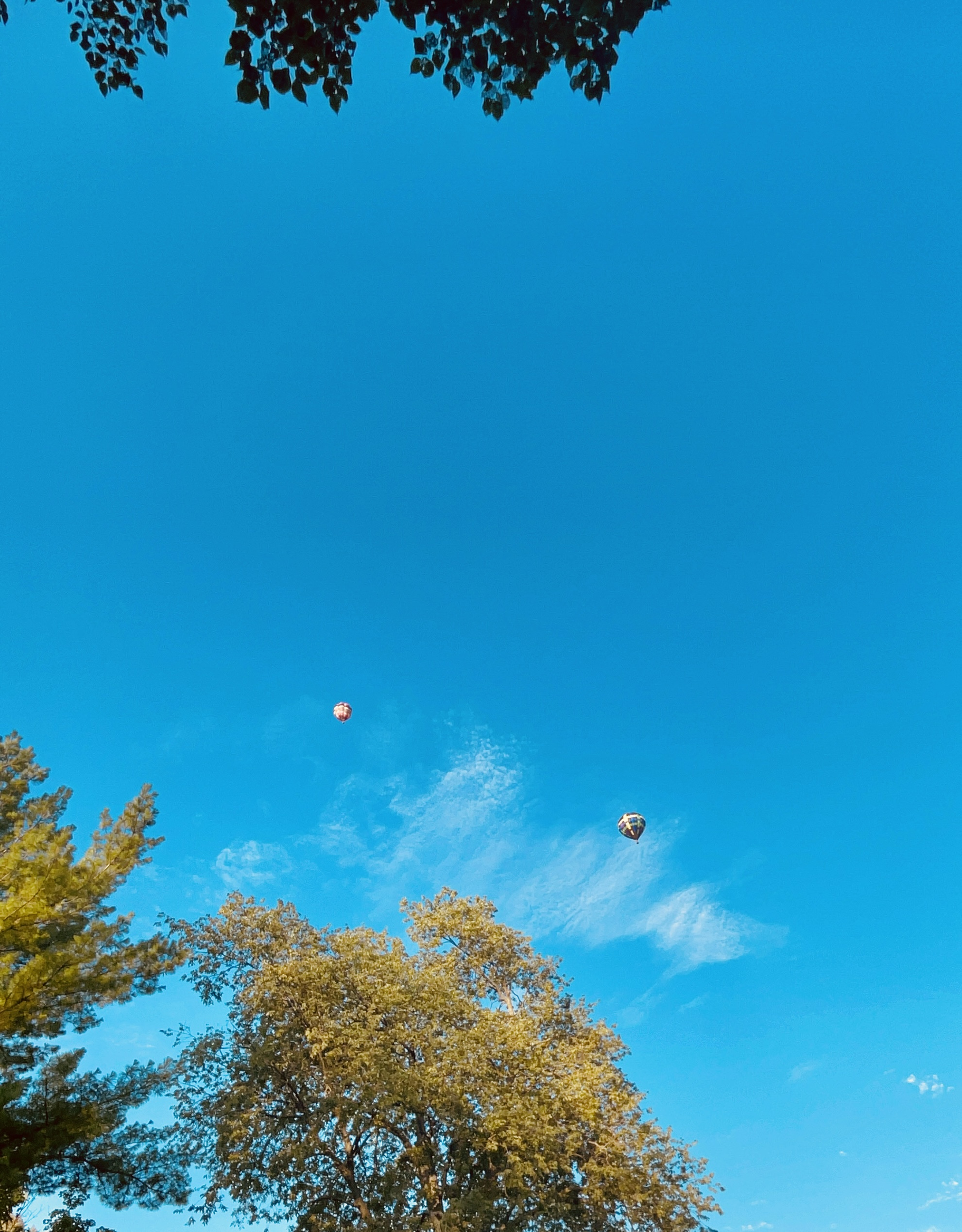 The Inquisitive Typist Poetry. – Isabel Randall